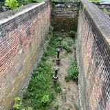 Virginius Island Trail, West Virginia - 203 Reviews, Map | AllTrails