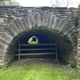 Virginius Island Trail, West Virginia - 203 Reviews, Map | AllTrails