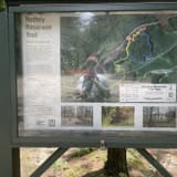 Nottely Reservoir Trail, Georgia - 1,091 Reviews, Map | AllTrails
