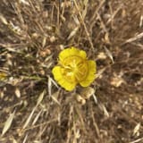 Bon Tempe Lake Loop, California - 2,083 Reviews, Map | AllTrails