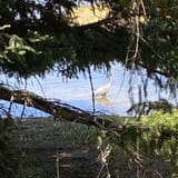 Bon Tempe Lake Loop, California - 2,083 Reviews, Map | AllTrails