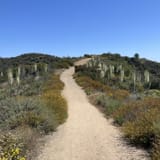Paseo Miramar Trail , California - 2,334 Reviews, Map | AllTrails