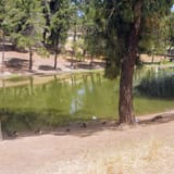 Bonelli Park Loop, California - 1,180 Reviews, Map | AllTrails