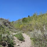 Kelly Canyon Trail, Idaho - 338 Reviews, Map | AllTrails