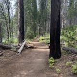 Carlon Falls Trail, California - 1,244 Reviews, Map | AllTrails