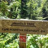 Amanda's Trail, Oregon - 546 Reviews, Map | AllTrails