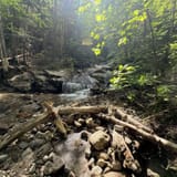 Carter Dome, South Carter, Middle Carter , New Hampshire - 268 Reviews ...