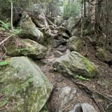 Carter Dome, South Carter, Middle Carter , New Hampshire - 268 Reviews ...