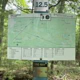 VASA Single Track Loop, Michigan - 377 Reviews, Map | AllTrails