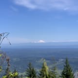 Mount Walker, Washington - 2,163 Reviews, Map | AllTrails