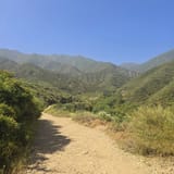 Etiwanda Falls Trail, California - 6,014 Reviews, Map | AllTrails