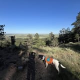 Shanahan Ridge Trail, Colorado - 3,401 Reviews, Map | AllTrails