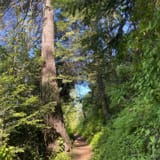 Mineral Ridge National Recreation Trail, Idaho - 3,637 Reviews, Map ...