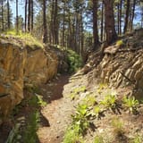 Coon Hollow Loop, South Dakota - 1,341 Reviews, Map | AllTrails