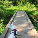 Speedwell Forge Hiking Trail, Pennsylvania - 1,098 Reviews, Map | AllTrails