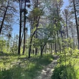 Coon Hollow Loop, South Dakota - 1,341 Reviews, Map | AllTrails