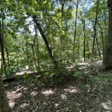 White Bison Loop, Missouri - 2,497 Reviews, Map | AllTrails