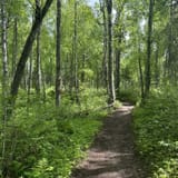 Talkeetna Lake Trail, Alaska - 677 Reviews, Map | AllTrails