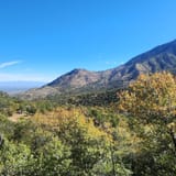 Madera Canyon Nature Trail, Arizona - 1,385 Reviews, Map | AllTrails