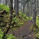 Two Lakes Trail, Alaska - 533 Reviews, Map | AllTrails