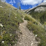 Opal Ridge, Alberta, Canada - 1,397 Reviews, Map | AllTrails