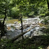 Laurel River Trail, North Carolina - 1,623 Reviews, Map | AllTrails