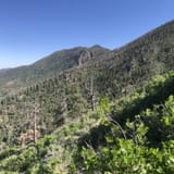 Heizer Trail, Colorado - 1,066 Reviews, Map | AllTrails