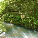 Red Cedar Trail, Illinois - 549 Reviews, Map | AllTrails