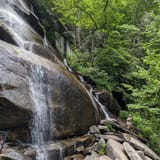 Daniel Ridge Loop, North Carolina - 1,963 Reviews, Map | AllTrails