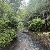 Foster Falls Climbers Loop Trail, Tennessee - 2,001 Reviews, Map ...