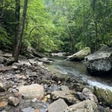 Greeter Falls Loop, Tennessee - 1,380 Reviews, Map | AllTrails