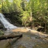 Greeter Falls Loop, Tennessee - 1,380 Reviews, Map | AllTrails