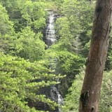 Foster Falls Climbers Loop Trail, Tennessee - 2,001 Reviews, Map ...