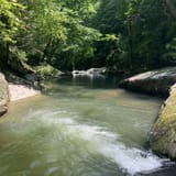 Greeter Falls Loop, Tennessee - 1,380 Reviews, Map | AllTrails