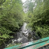 Foster Falls Climbers Loop Trail, Tennessee - 2,001 Reviews, Map ...