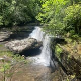 Greeter Falls Loop, Tennessee - 1,146 Reviews, Map | AllTrails