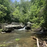 Greeter Falls Loop, Tennessee - 1,143 Reviews, Map | AllTrails