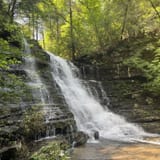 Greeter Falls Loop, Tennessee - 1,380 Reviews, Map | AllTrails