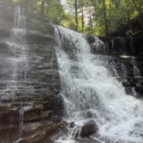 Greeter Falls Loop, Tennessee - 1,380 Reviews, Map | AllTrails