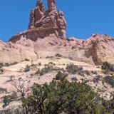 Church Rock Trail, New Mexico - 528 Reviews, Map | AllTrails