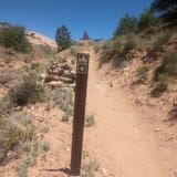 Church Rock Trail, New Mexico - 528 Reviews, Map | AllTrails