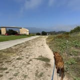 Goleta Beach and the UCSB Lagoon Trail, California - 499 Reviews, Map ...