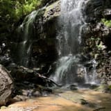 Tabor Falls, Georgia - 331 Reviews, Map | AllTrails