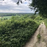 Surrey Three Peaks - Boxhill, Holmbury Hill, Leith Hill, Surrey ...