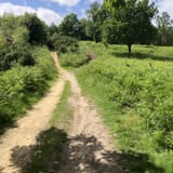 Surrey Three Peaks - Boxhill, Holmbury Hill, Leith Hill, Surrey ...