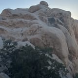Ryan Mountain, California - 7,680 Reviews, Map | AllTrails