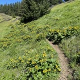 Tire Mountain Trail, Oregon - 149 Reviews, Map | AllTrails