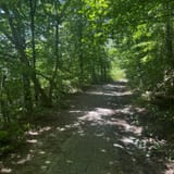Stringers Ridge via Blue Trail, Tennessee - 2,106 Reviews, Map | AllTrails