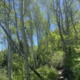 Armstrong Trail to Dawns Trail Loop, Utah - 2,768 Reviews, Map | AllTrails