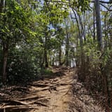 Waimano Falls Trail, Oahu, Hawaii - 5,033 Reviews, Map | AllTrails